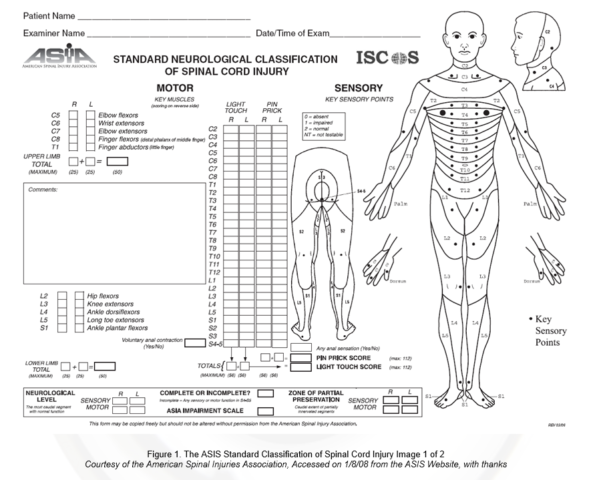 Neurological Examination Guide - Medical Educator